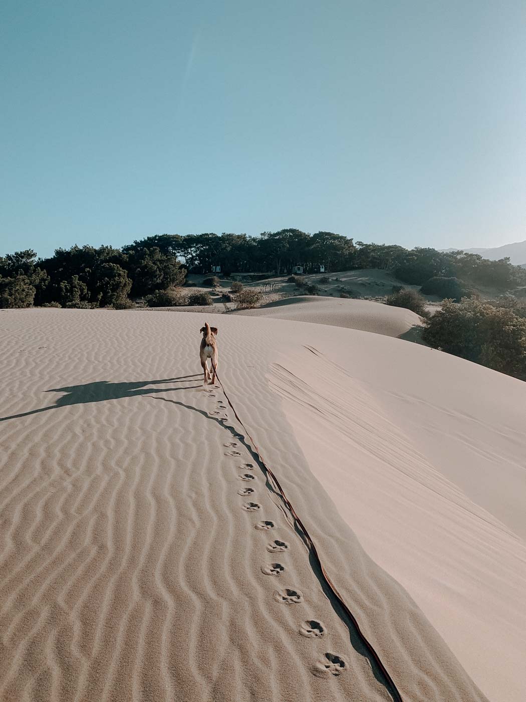 Die 6 schönsten Strände der Türkei • Erfahrungen und Reisetipps