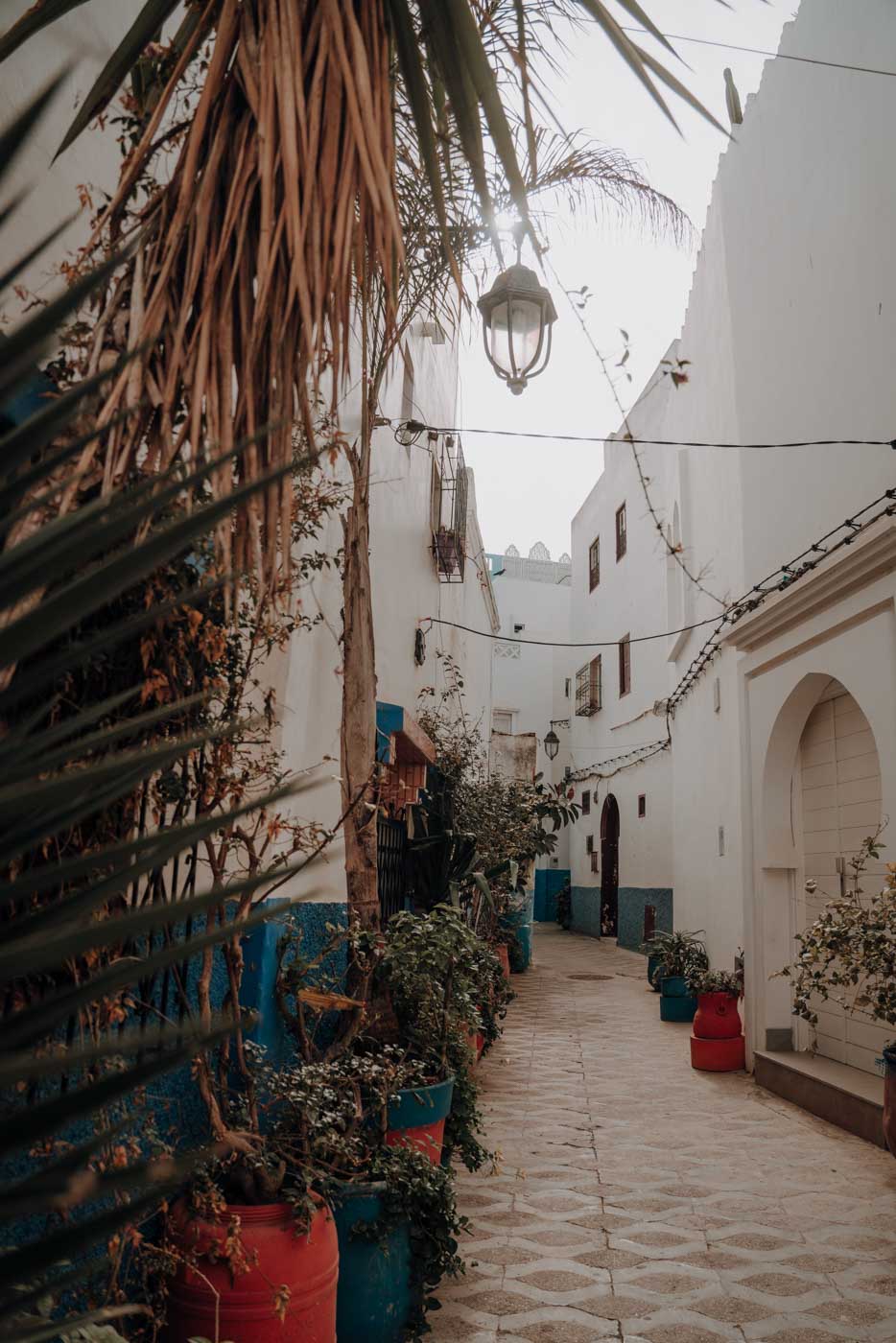 Asilah in Marokko • Die schönsten Tipps und Sehenswürdigkeiten ...